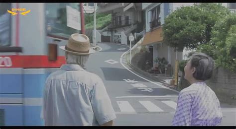 步履不停 步履不停什么意思 随意云