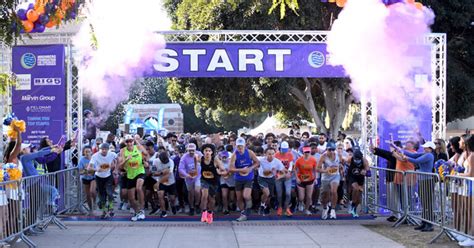 Home Hirshberg Foundation For Pancreatic Cancer Research