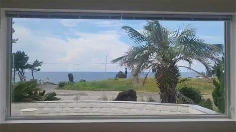 스트레스 해소 차분한 분위기 독서를 위한 편안한 음악 제주 애월 해안도로 풍경 Youtube