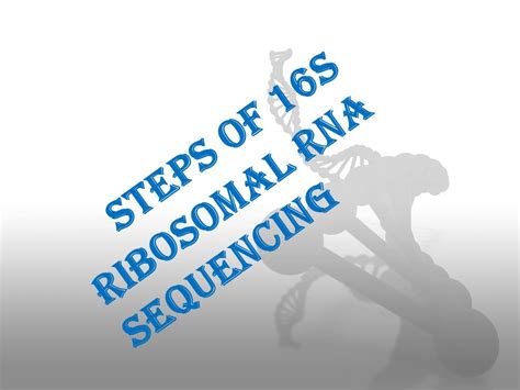 Ppt Finger Printing Of Bacteria 16s Ribosomal Rna Powerpoint