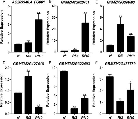 Identification Of Fertility Related Genes For Maize Cms S Via Bulked Segregant Rna Seq Peerj