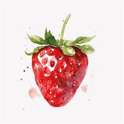 Premium Vector Vibrant Watercolor Strawberry Illustration