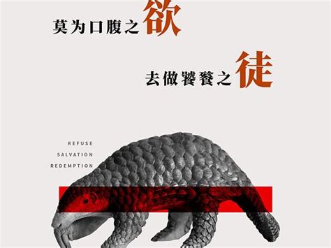 招贴创意设计作品图片素材 站酷zcool