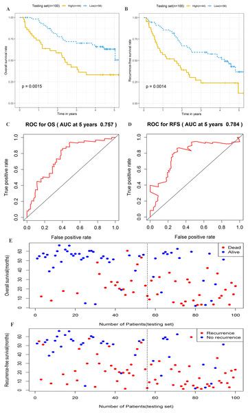 Identification Of A Novel Four LncRNA Signature As A Prognostic