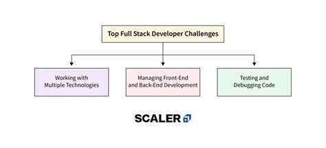 Full Stack Developer Vs Data Scientist Which Is Better