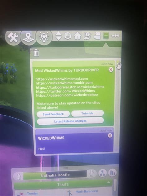 Wicked Whims “sex” Tab Not Showing Up Help Rsimswickedwhims