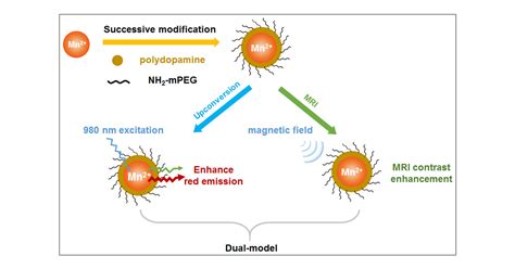 Polydopamine Coated Manganese Doped Upconversion Nanoparticles As