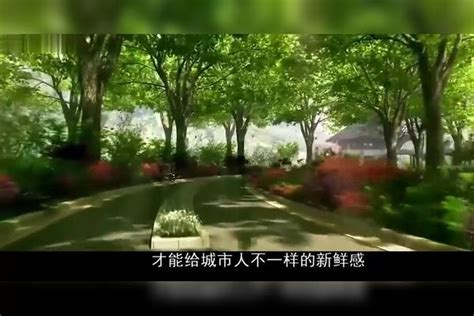 中国这个小镇面积不大，民宿却多达几千家，一晚竟高达上万元面积小镇高达