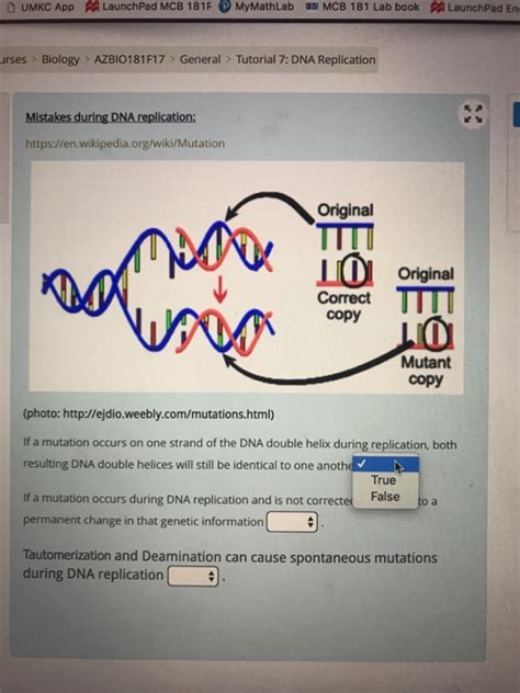 Solved Ses Biology AZBIO181F17 General Tutorial 7 DNA Chegg Com