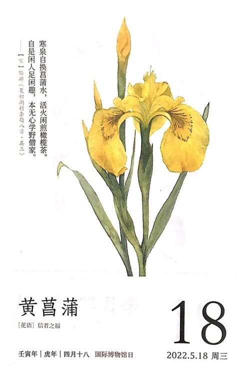 無用之大用 每日頭條