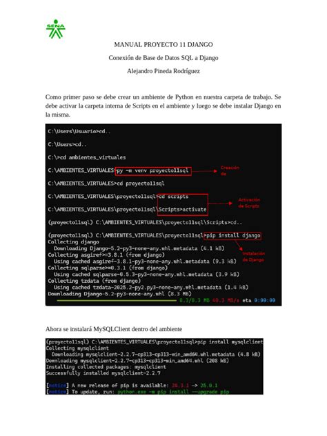 Manual Proyecto 11 Django Pdf
