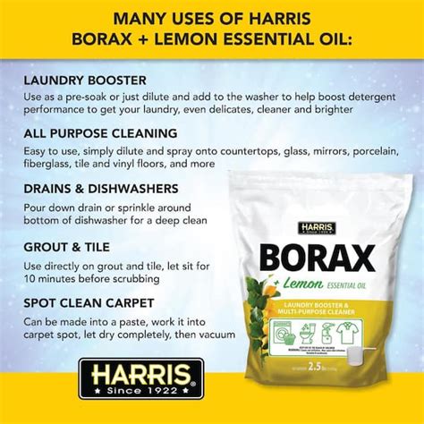 What Is Borax Used For
