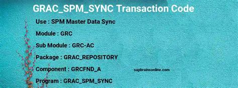 GRAC SPM SYNC SAP Tcode For SPM Master Data Sync