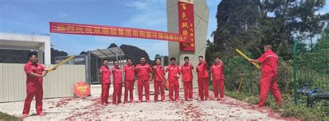 双胞胎集团一周两座年产能10万 规模育肥猪场投产 双胞胎集团