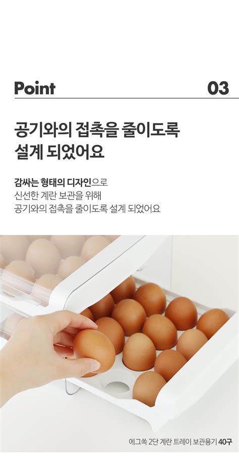 냉장고보관·트레이 에그쏙 2단 계란 트레이 보관용기 3size 32구40구60구 오늘의집 쇼핑