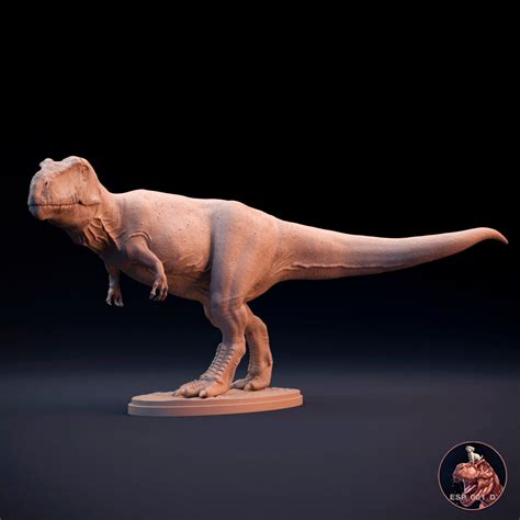 Amargasaurus Vs Giganotosaurus