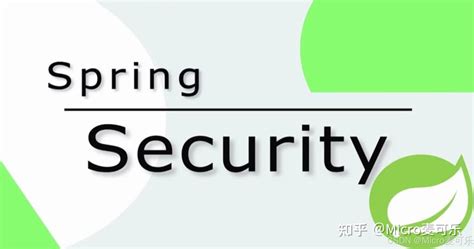 Spring Security Spring Security