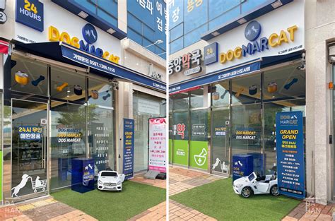홍성 도그마캣 애견용품샵