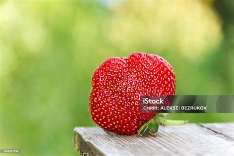 잘 익은 빨간 딸기 클로즈업 신선한 과일 녹색 자연 배경 선택적 초점 복사 공간 굽은에 대한 스톡 사진 및 기타 이미지 굽은 딸기 정원 Istock