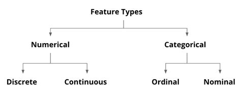 feature types