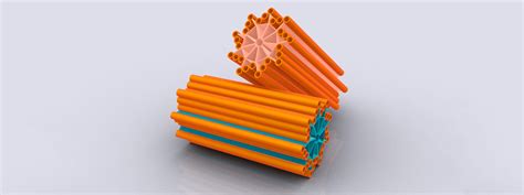Centrioles Structure Architecture Of The Centriole