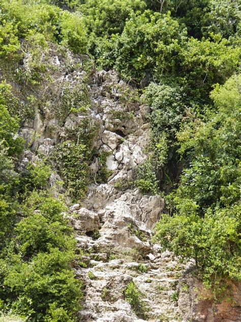 Hill Texture Stock Image Image Of Oregon Nature Color 83917623