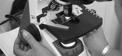 Understanding The Coarse And Fine Adjustment Knobs On A Microscope