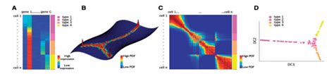 单细胞拟时序分析又一利器Diffusion Map 哔哩哔哩
