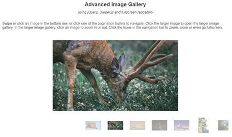 17 Bootstrap Photo Gallery Code Examples Onaircode