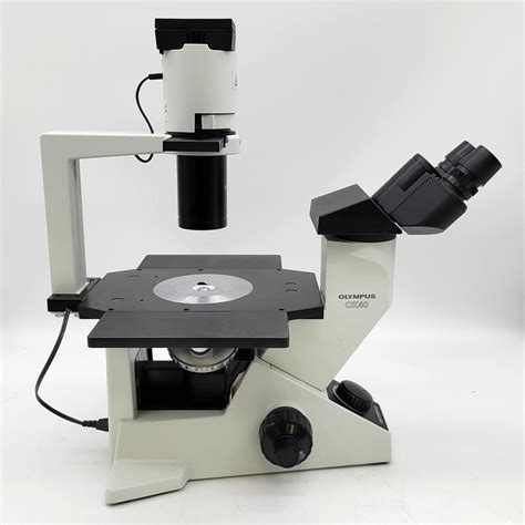 Olympus Microscope Ck40 Inverted With Phase Contrast Microscope Marketplace