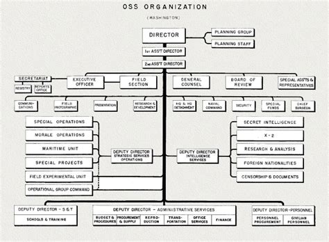 Hyperwar Office Of Strategic Servcices Oss Organization And Functions