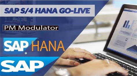 Do Data Entry Sap Pm Excel Data Extraction Typing Copy Paste By Babor Fiverr