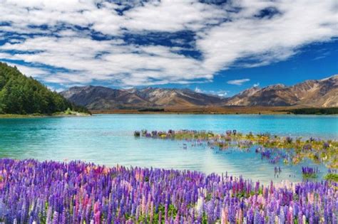Красиві пейзажі природи Фото Нова Зеландія озеро Lake Tekapo