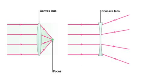 Images Formed By Convex And Concave Lenses Online Science Notes