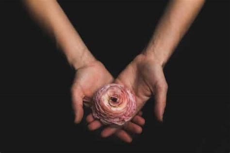 The Art Of Healing With Dr Bernie Siegel On Learn True Health Podcast