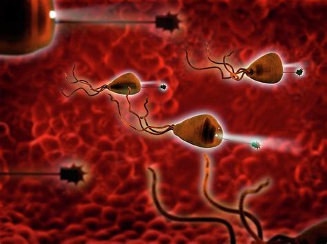 Medical Nanorobots Photograph By Tim Vernon Science Photo Library