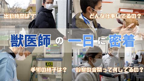 密着獣医師の一日に密着してみた乙訓どうぶつ病院 YouTube