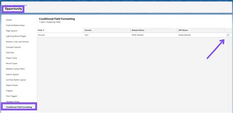 Your Guide To Conditional Formatting For Salesforce Fields Salesforce Ben