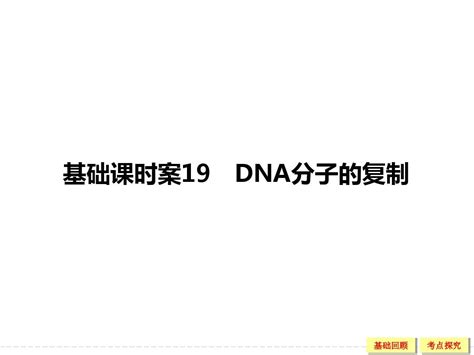 2016届《创新设计》高考生物大一轮复习精讲课件：必修2 第2单元 遗传的分子基础 19 Dna分子的复制 Word文档在线阅读与下载 无忧文档