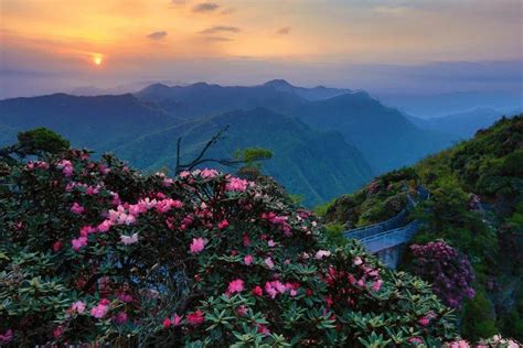 四川五一假期热门景点 光雾山旅游攻略 低音号免费语音导游 知乎