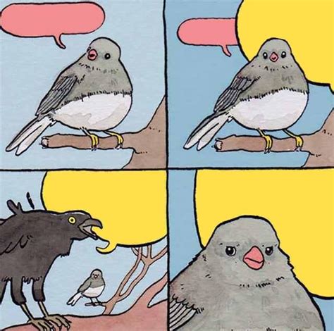 Annoying Crow Memes Imgflip