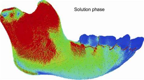 During The Solution Phase The Finite Element Solver Estimates The Nodal