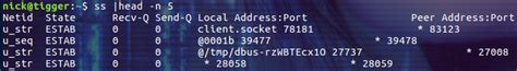 Linux Ss 命令 Sparkdev 博客园