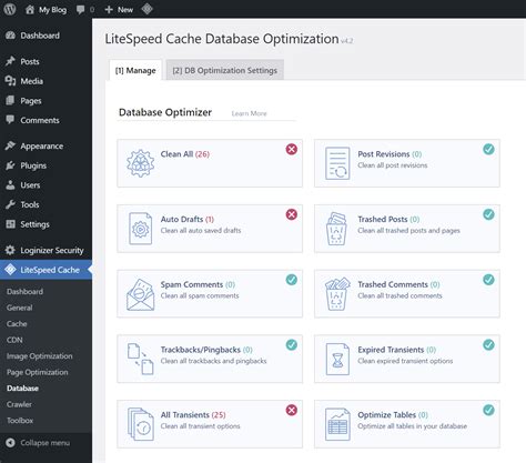 How To Configure The LiteSpeed Cache Database Optimization Settings In