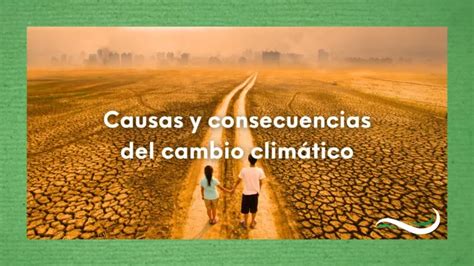 Cómo Prevenir La Contaminación Ambiental Con 10 Acciones Efectivas