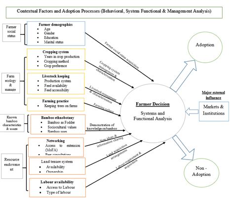Conceptual Framework For The Analysis Of Potential Bamboo Agroforestry Download Scientific
