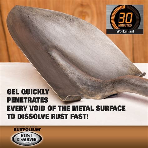 Rust Oleum Rust Dissolver 32 Fl Oz Rust Remover 300112 At
