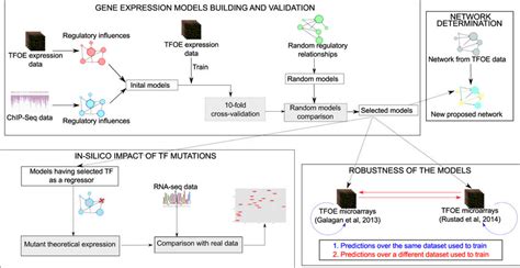 Workflow To Build And Validate Gene Expression Computational Models Download Scientific