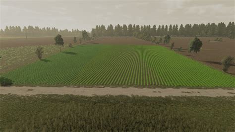 Fs22 Foliages Pack Carrot Parsnip Redbeetroot Fs22 Mod Mod For Farming Simulator 22 Ls
