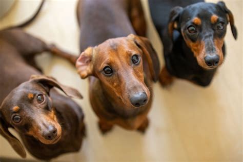 後期高齢者医療制度の保険料率と全国平均はいくら？年金収入195万円のケースで保険料をチェック うちの都道府県はいくらになる？2025年度は保険料の引き上げが決定 Limo くらしとお金